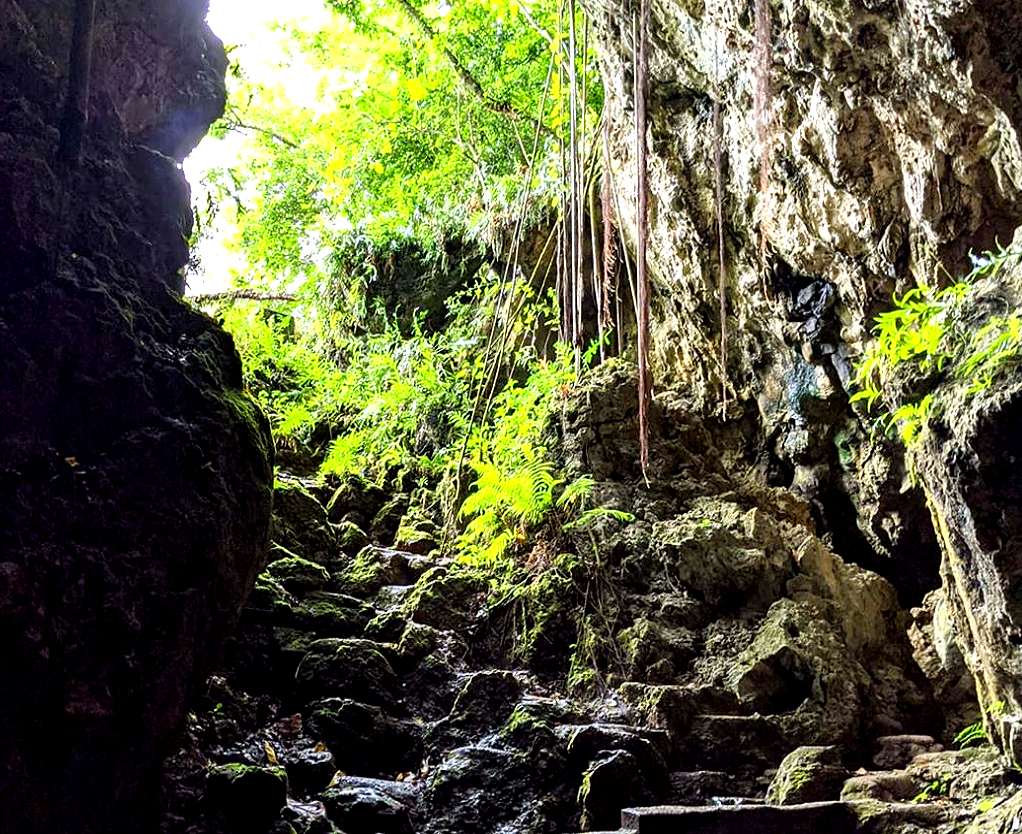 關島租車必玩-秘境探險Mabro Cave – 關島Japan租車